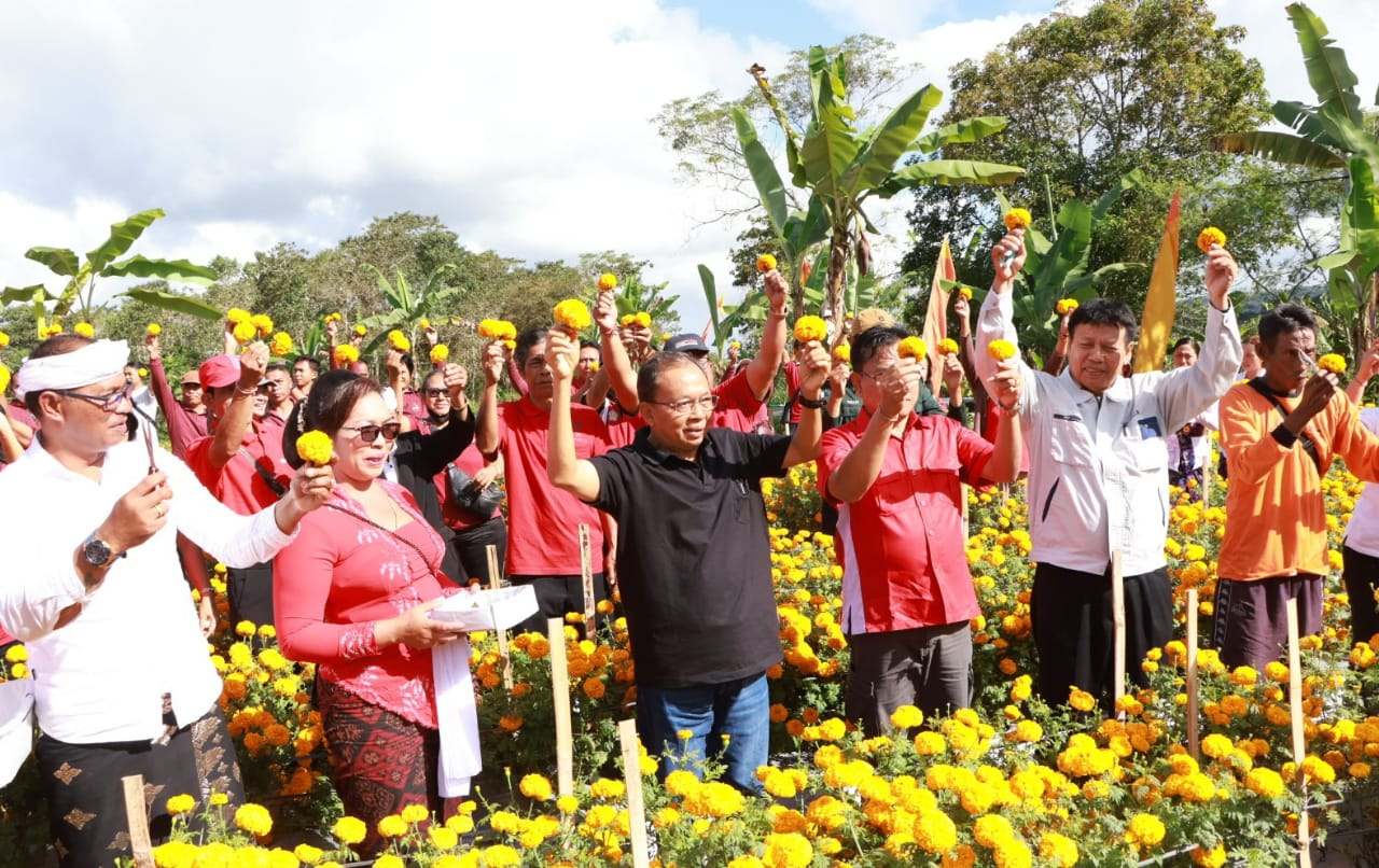 SuratanBali.com, Media Satukan Bangsa - KOSTER BERHASIL BIKIN TEROBOSAN ...